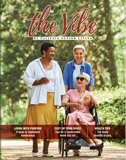 The Vibe Senior Living Magazine